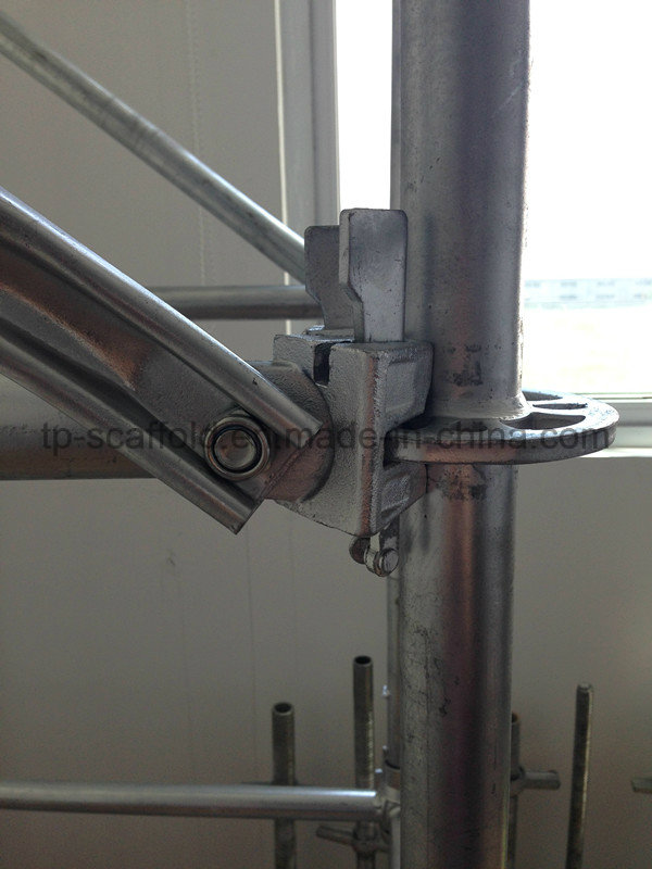 China Custom Construction Equipment Ringlock Scaffolding System ...