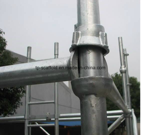 China Custom Cuplock Scaffolding System Galvanized Standard/Vertical for Construction ...