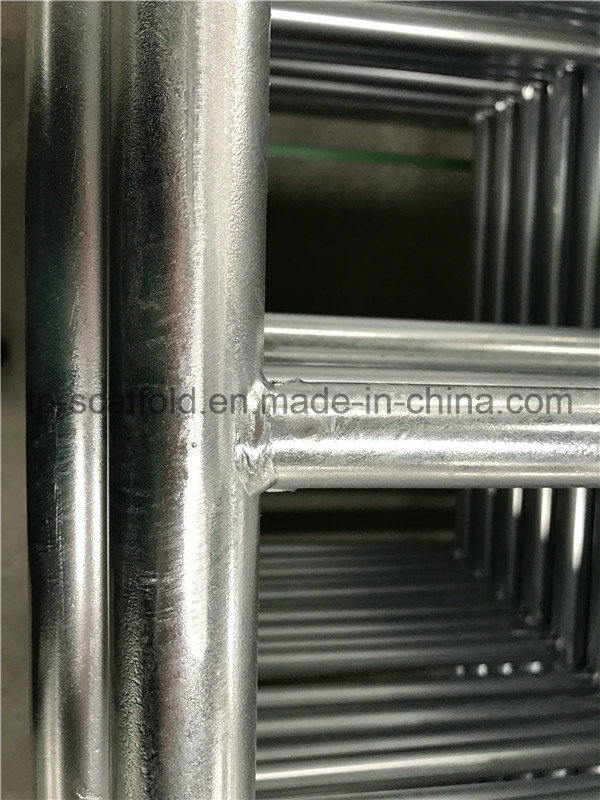 China Custom Galvanized Steel Ringlock Scaffolding Ladder with Inner ...